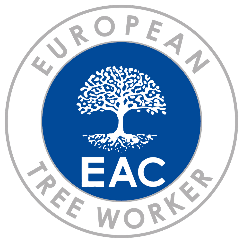 Szkolenie European Tree Worker | Szkolenia arborystyczne | Sklep ...
